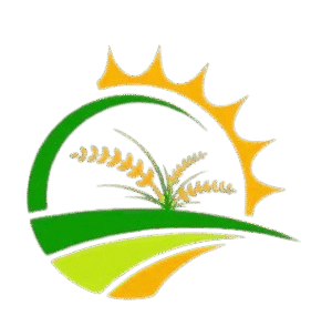 Chaff Cutter for Sale in Kenya - Skyhope Machinery